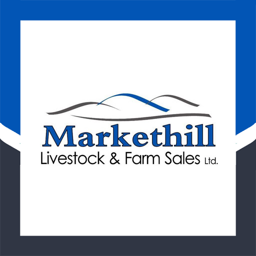 Auctionmarts.com - View & bid on lots direct with auctioneers
